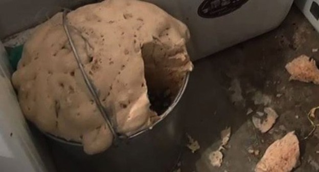 Caucasian Knot | Sources report about an Ingush wrestler fleeing during CTO Caucasian Knot | Sources report about an Ingush wrestler fleeing during CTO